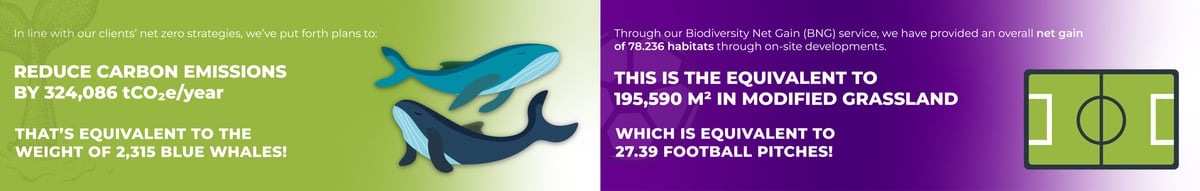 BNG Regulations Explained